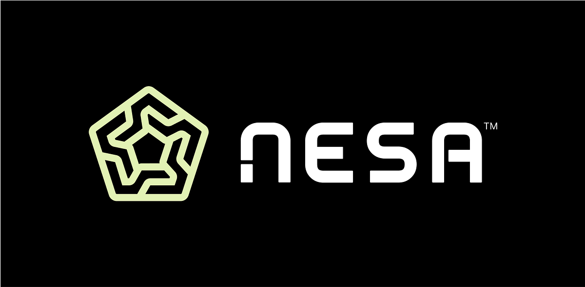 Overview of the Nesa System. We introduce a pioneering new system… | by ...