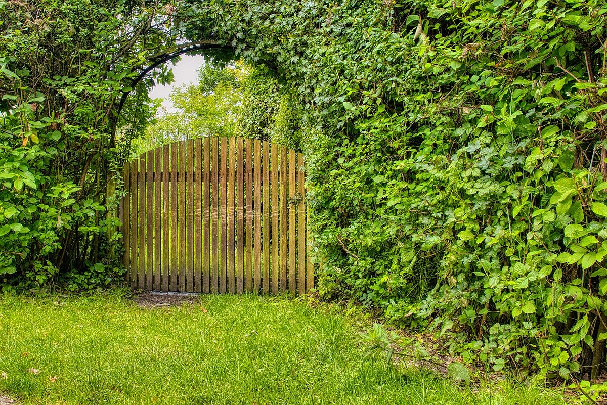 Gate 31 in Human Design: The Power of Influence | by Janet Leigh | Medium