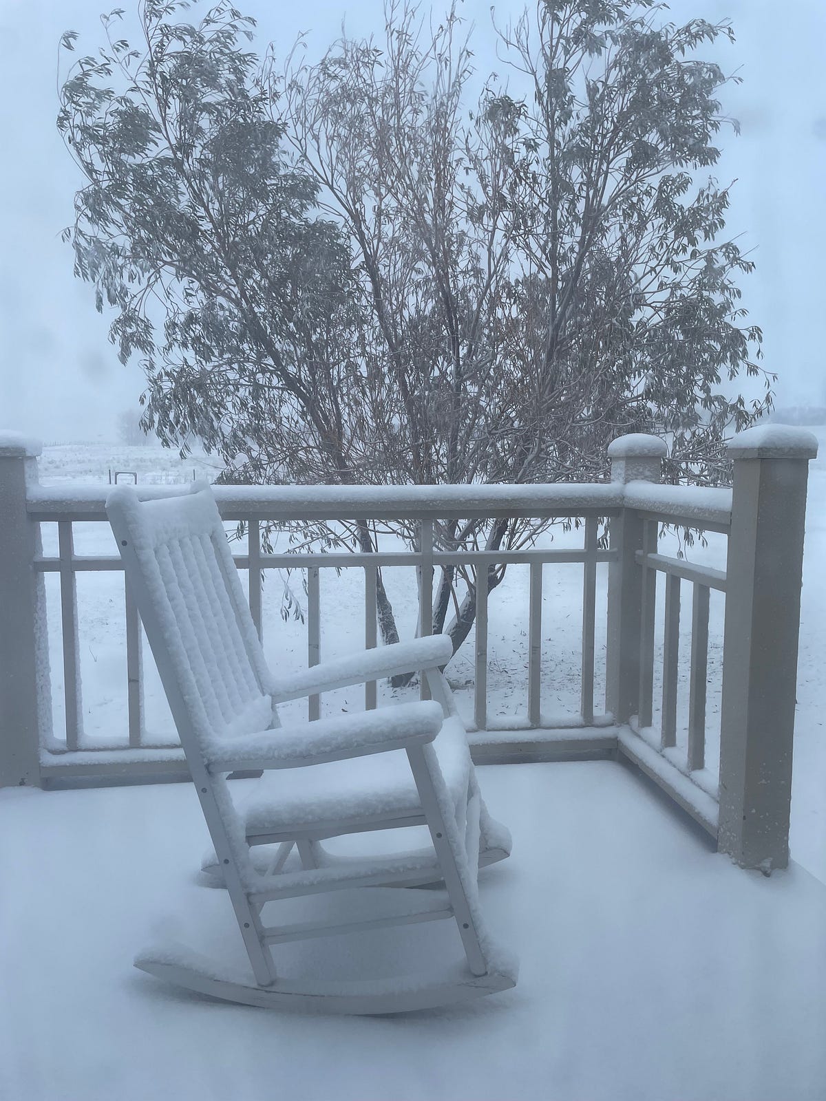 There Is One Thing That Makes This Bleak Day Delightful | by Heather ...