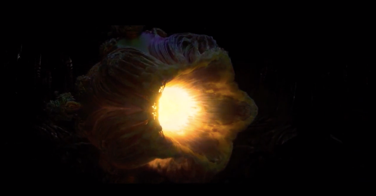 The Strangest Aliens. The most unrecognizable shapes life can… | by E ...