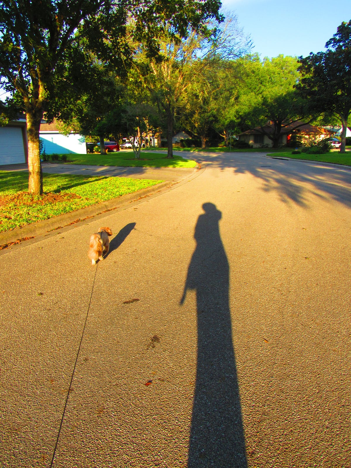Walking in Sunlight. September Six Word Photo Story… | by Dennett | Six ...