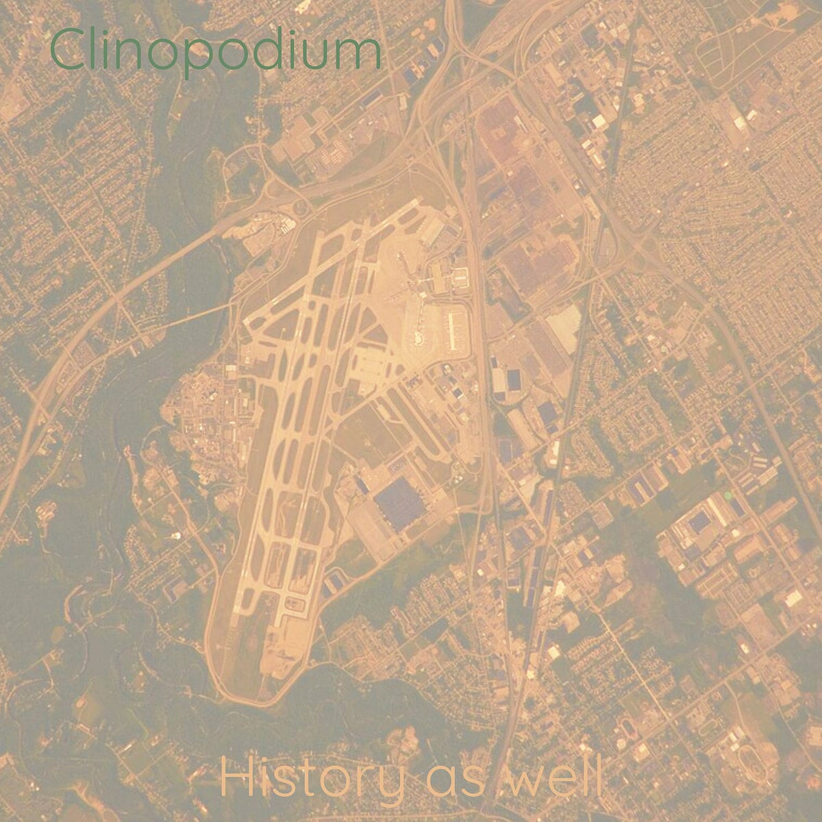 Clinopodium. History as well | by World Exercisions | Jan, 2025 | Medium