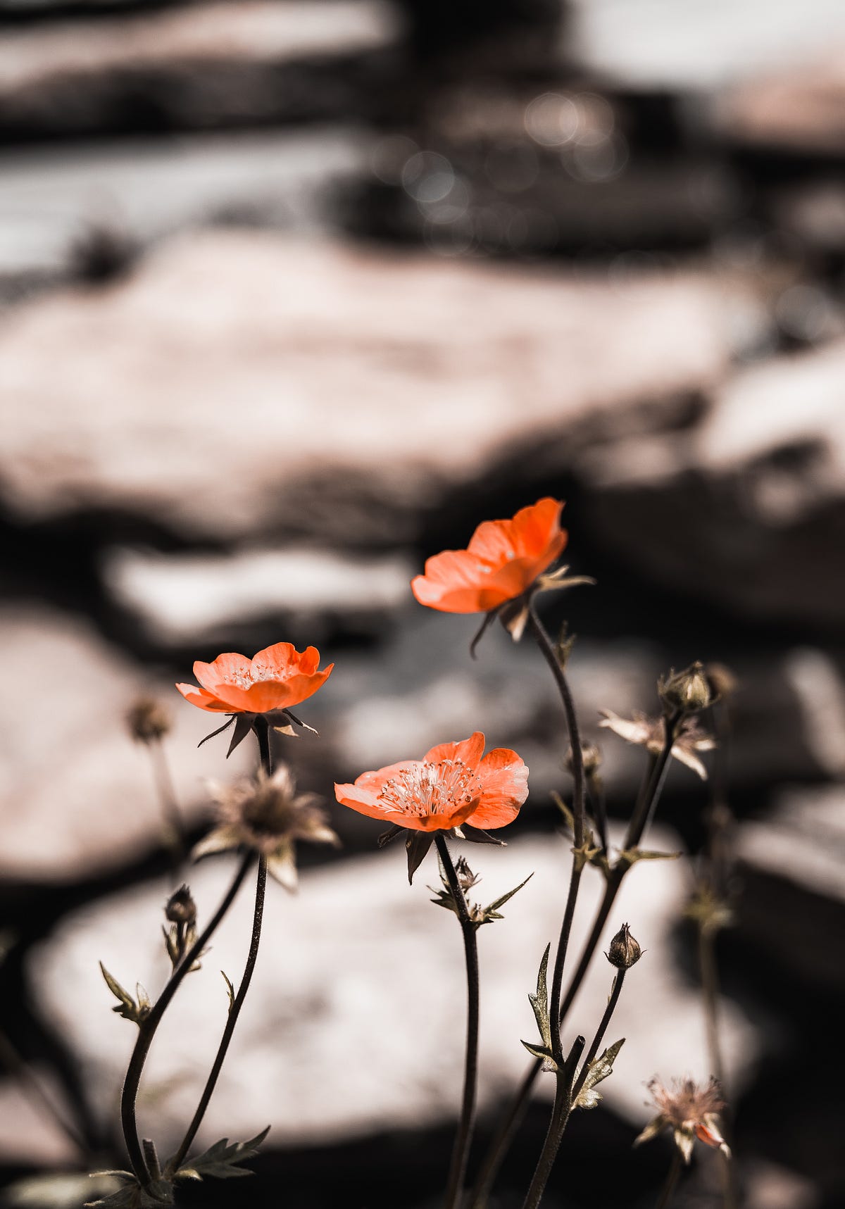 Calculated Use of Color. Creatives must appreciate how color… | by ...