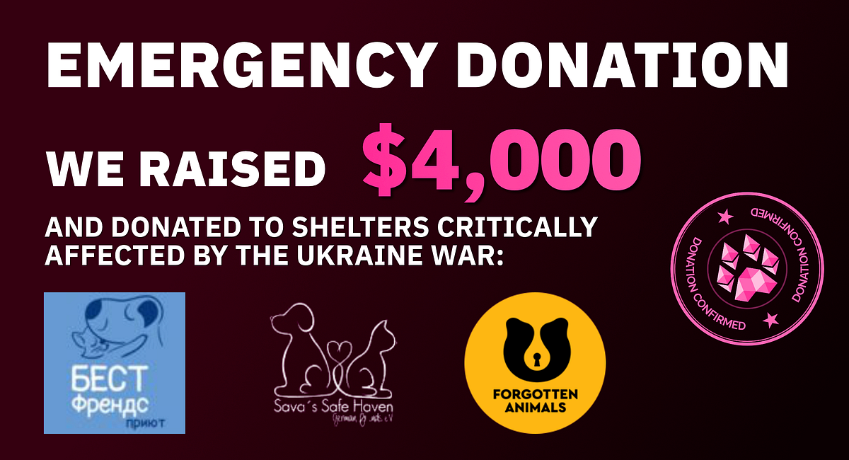 Emergency Donation!. EMERGENCY DONATION! | by Pawthereum | Pawthereum