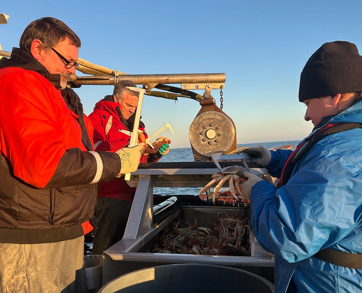 Test fishing guides Washington’s coastal commercial crab season | by ...