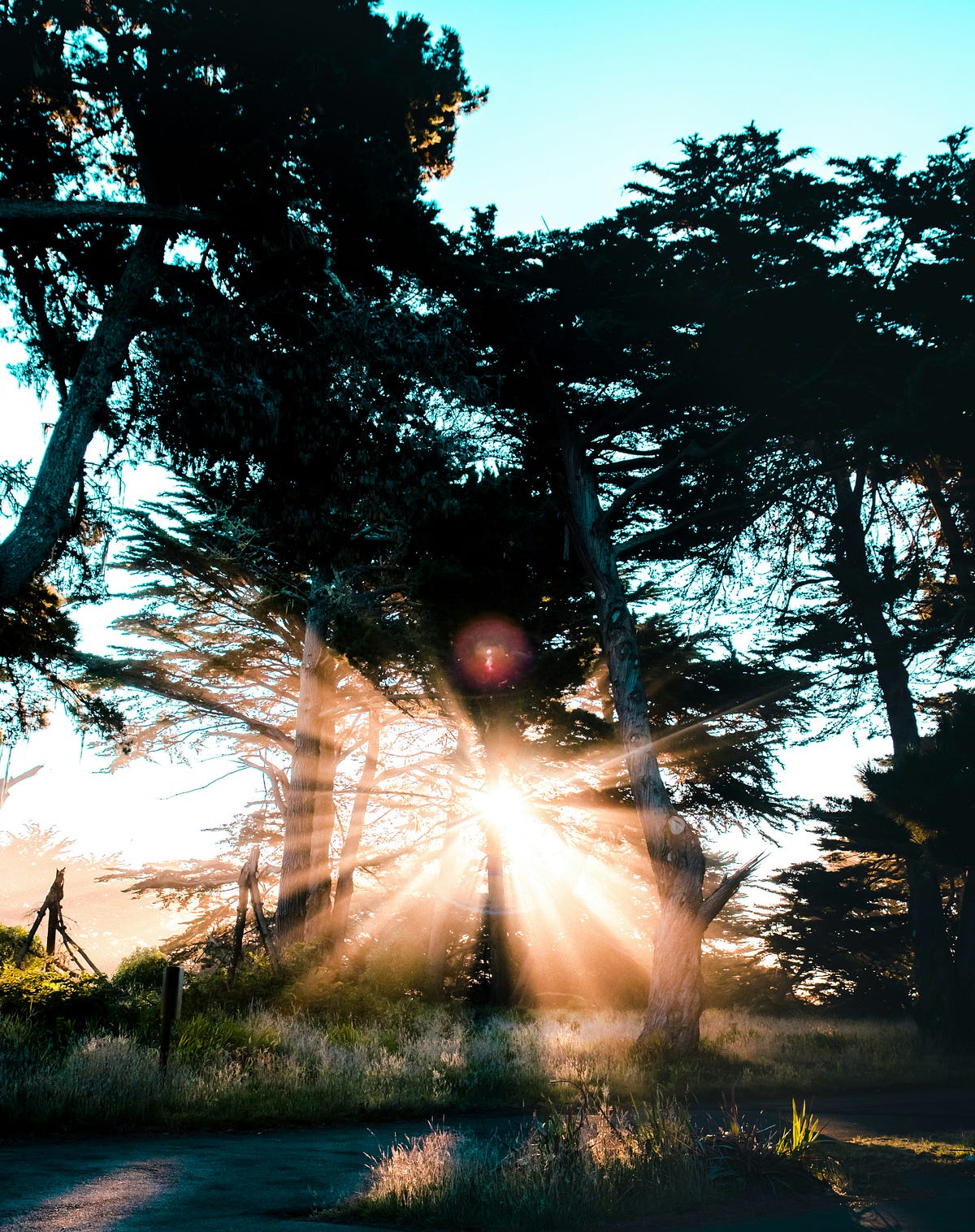Creating My Own Peace. For Good Mental Health | by Writes By Tiffany ...