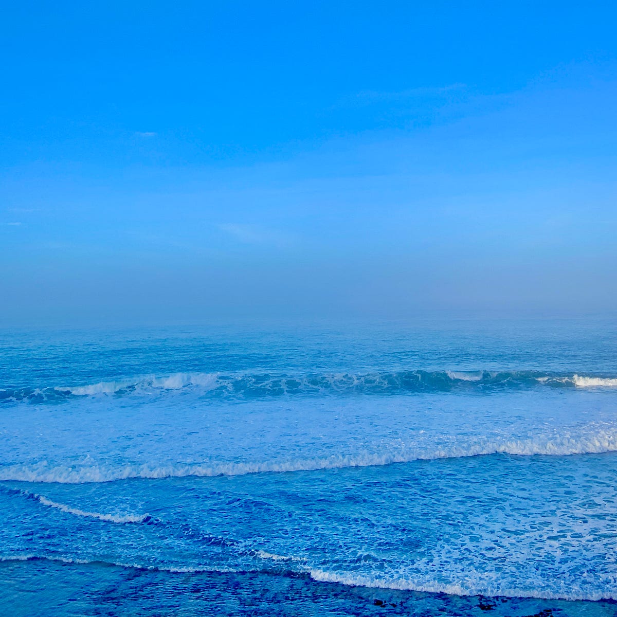 the Charm of Life - Rizki Firmansyah - Medium