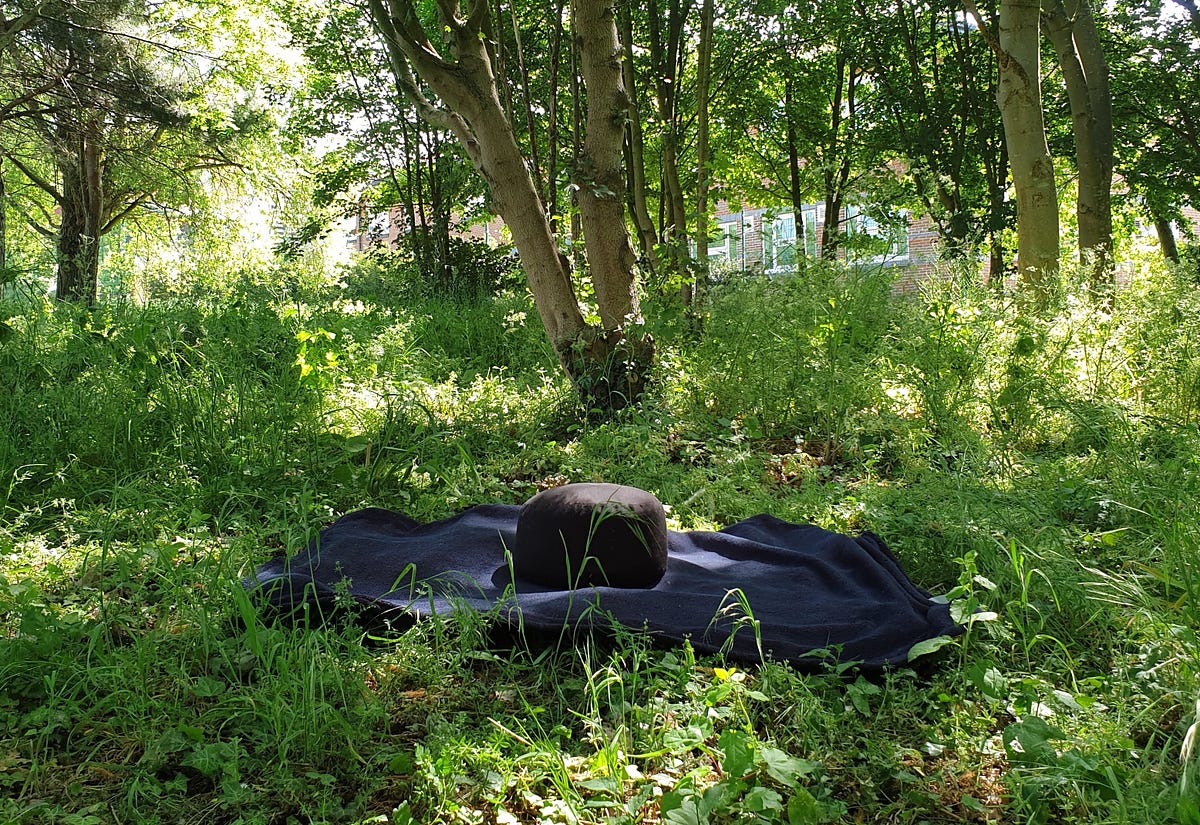 The Pros And Cons Of Meditating Outside | by Vincent Kavanagh | The ...