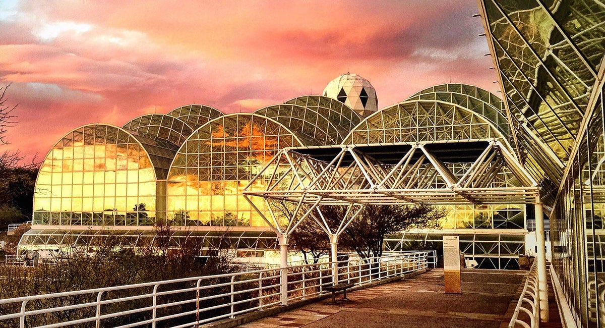 Biosphere 2, Rainbow Forest, & Curious Nature — Arizona 💚 Plants | by ...
