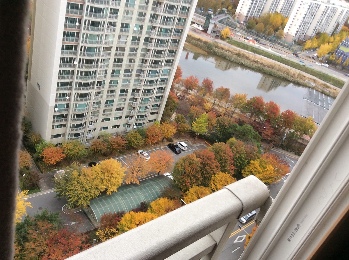 hhhh | by 유평수 | Medium