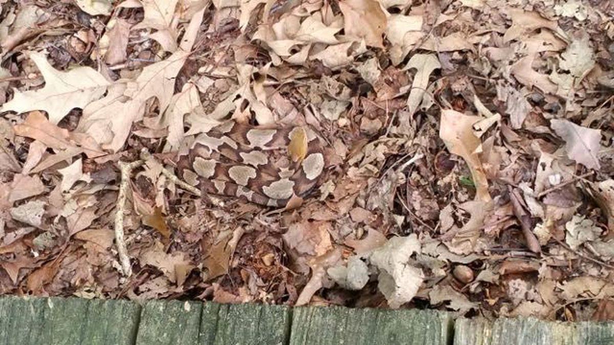 Why We Should Be Aware Of The Hiding Malicious Code In Smart Contracts By 0x91d9 Block6 Medium