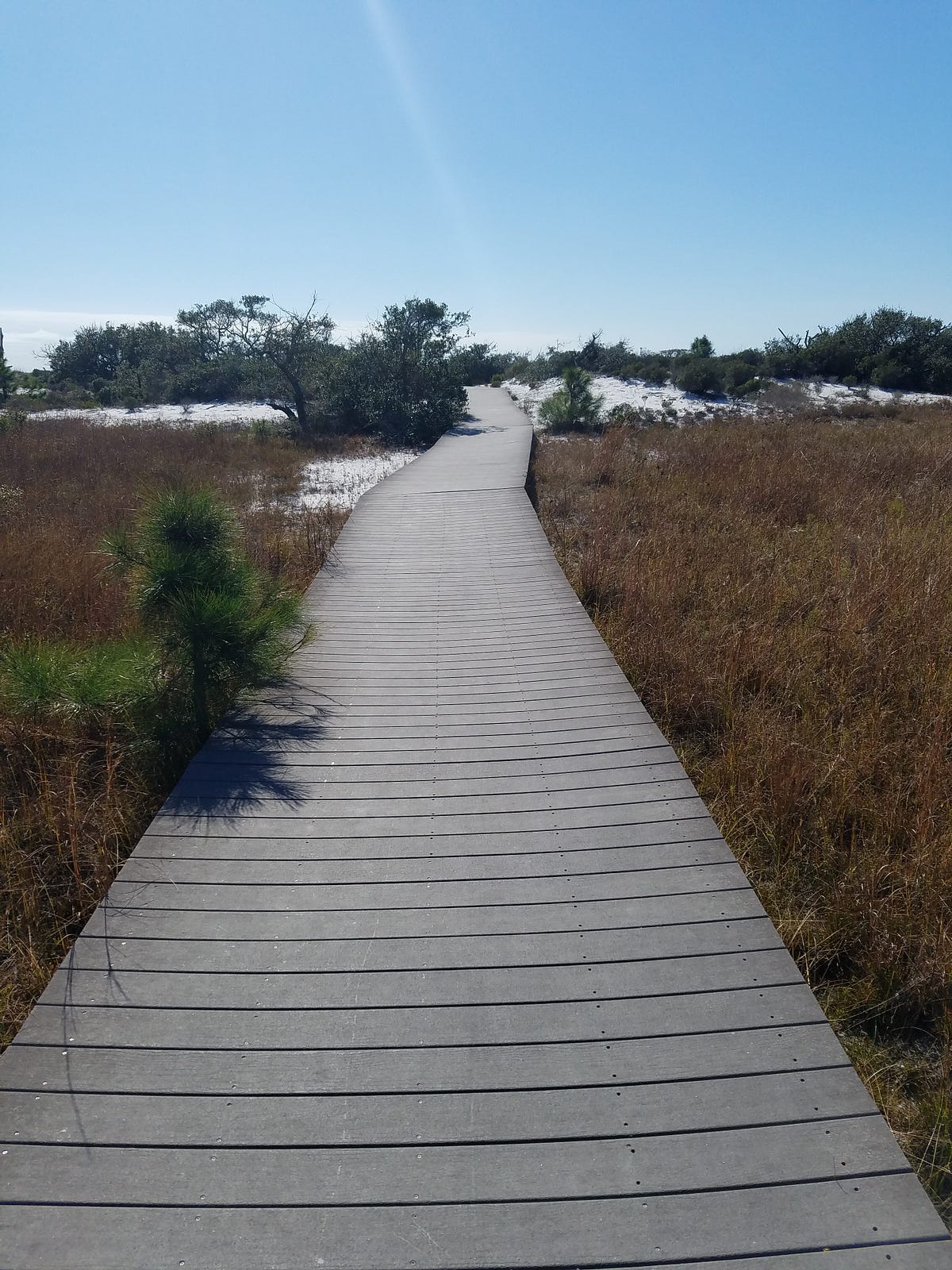 Stay the course or chart your own path? Five questions to get curious ...