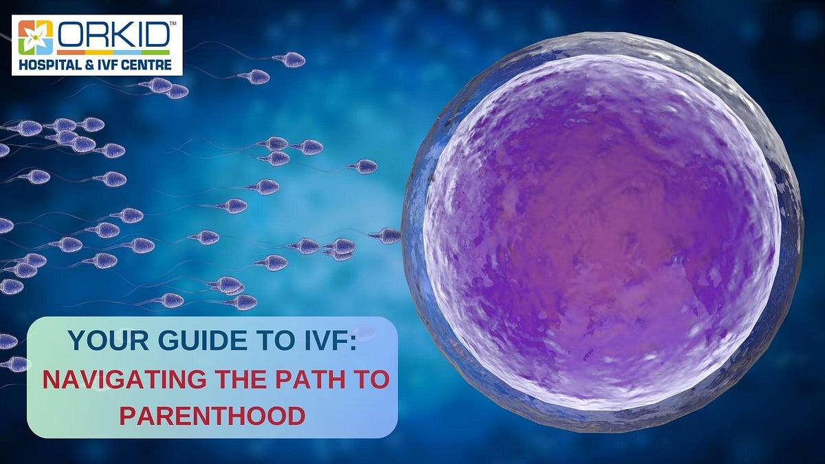 Your Guide To IVF: Navigating the Path to Parenthood With the best Infertility Hospital in Surat ...