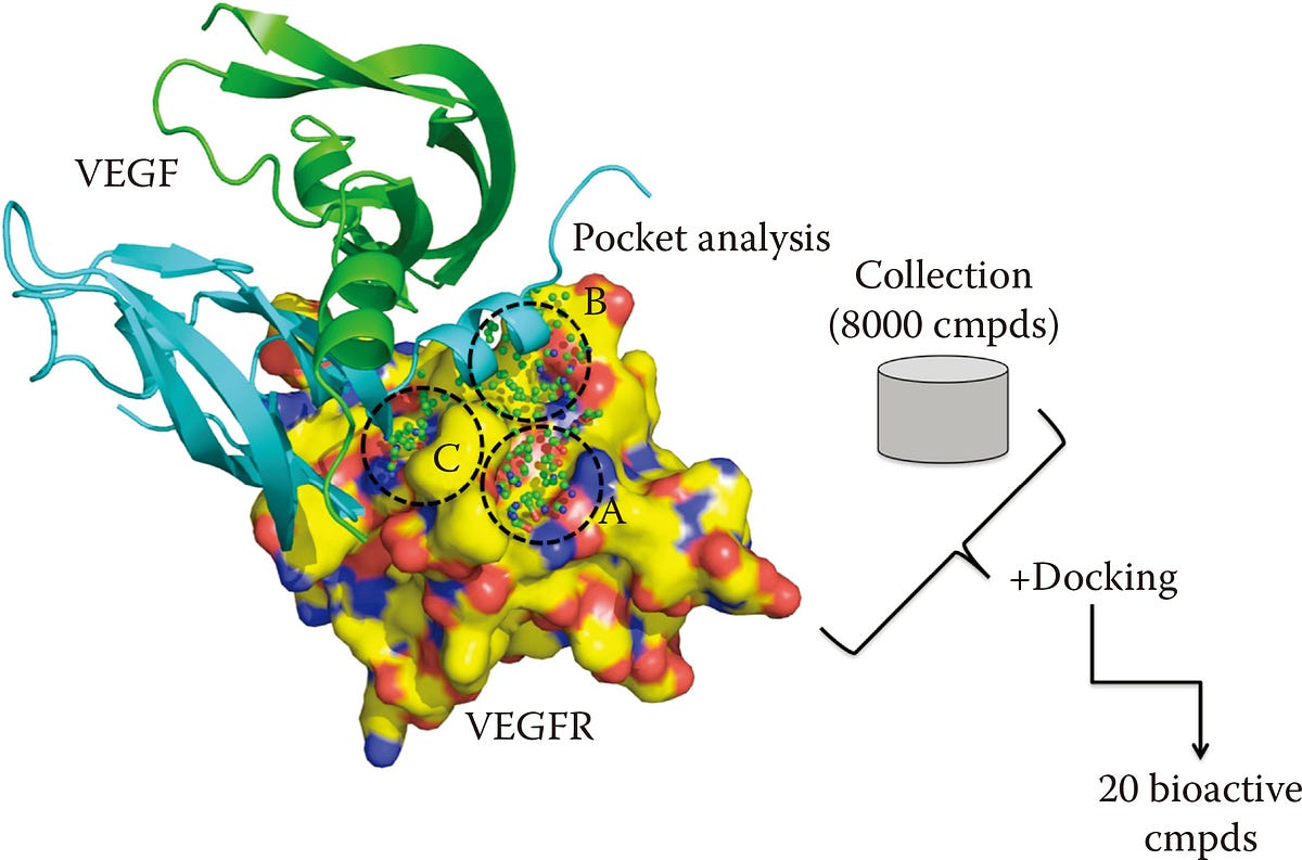Optimizing Beyond Affinity: The Crucial Role of Selectivity, ADME, and ...