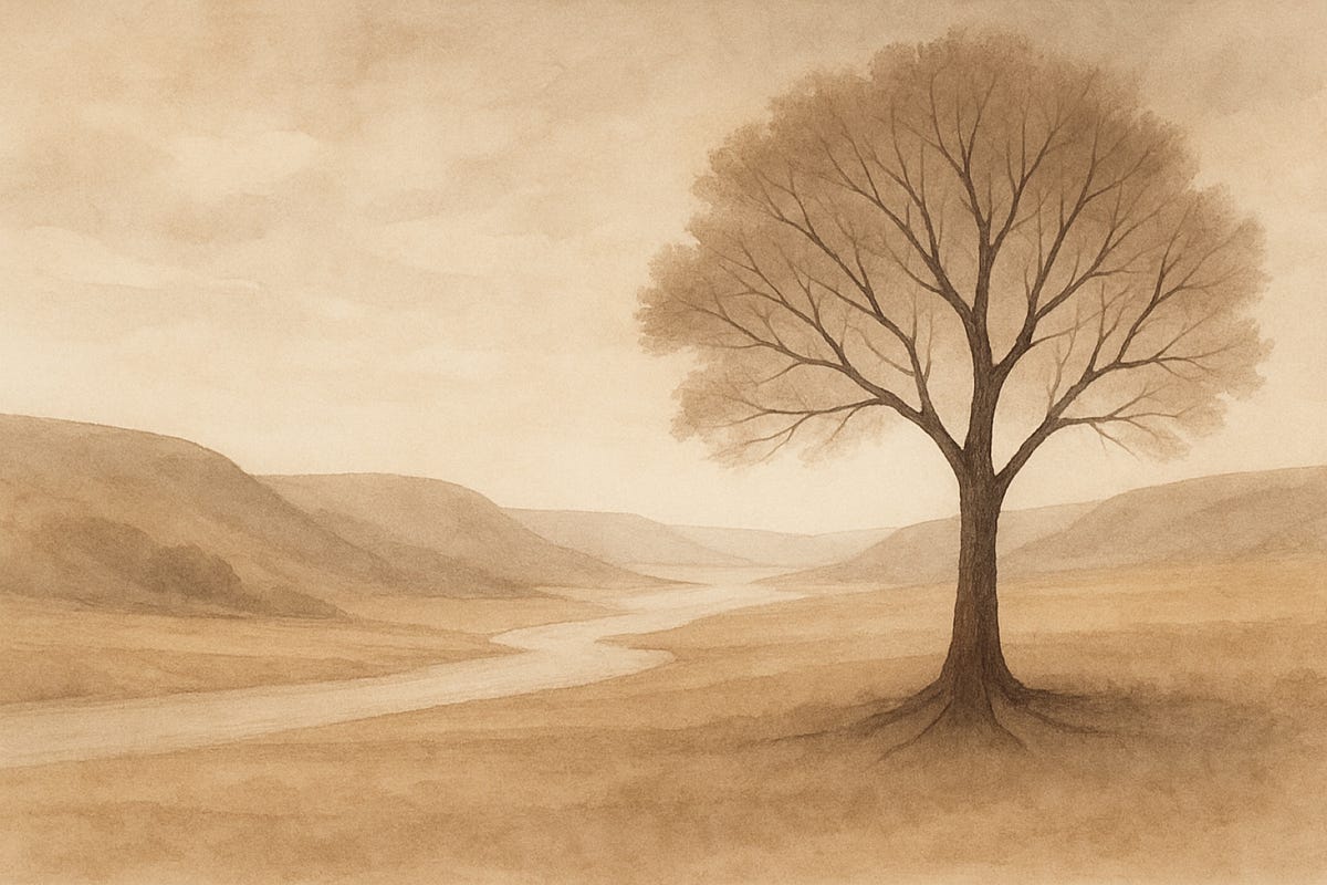 The Weight of Nostalgia and the Freedom of Distance | by Faye Flora | Sep, 2025 | Medium