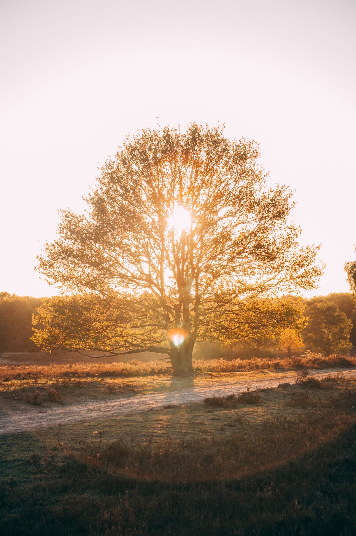Realisation. free verse poetry | by James G Brennan | The POM | Medium