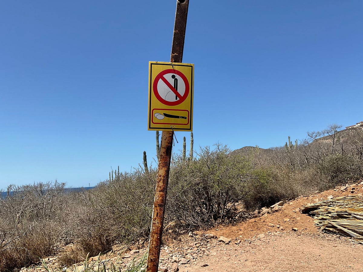 Signs are Fascinating. Signs, signs, everywhere signs! Just… | by ...