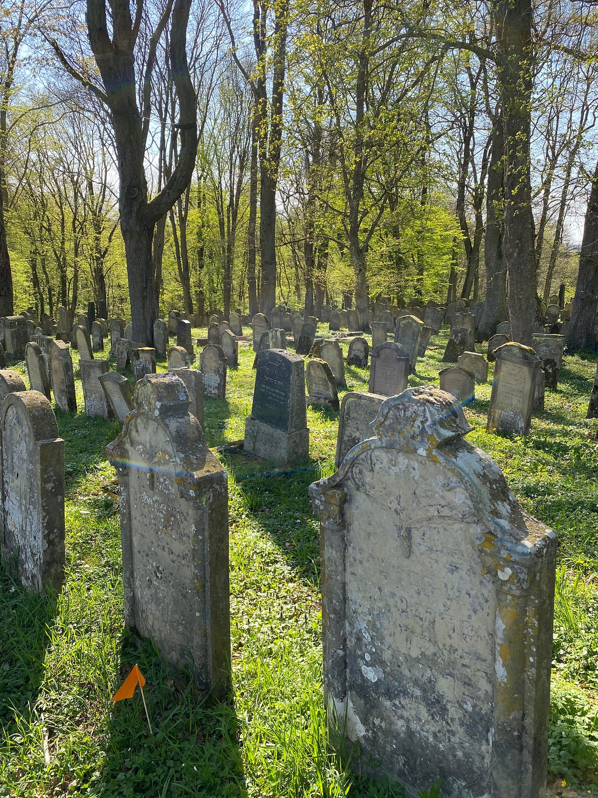A Visit with my Ancestors. Justin Beno Rosenfeld boarded a ship to ...
