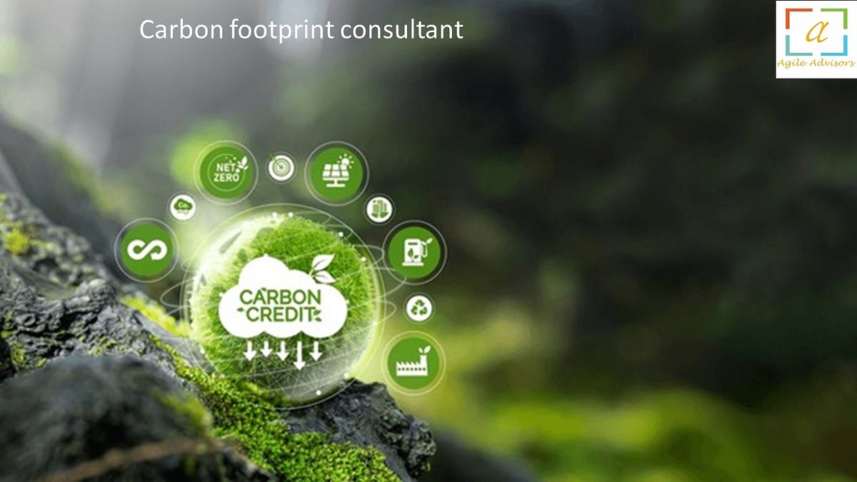 How does the carbon cycle work?. We are Carbon footprint consultant in ...