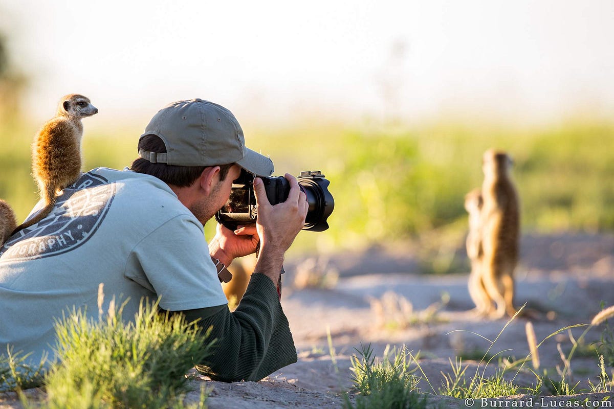 Biggest lies of Photography. Everyday over the internet, we go… | by ...