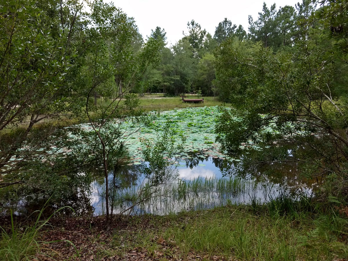 I Quit Six Days Into a Ten-Day Silent Meditation Retreat | by Tony Leo ...