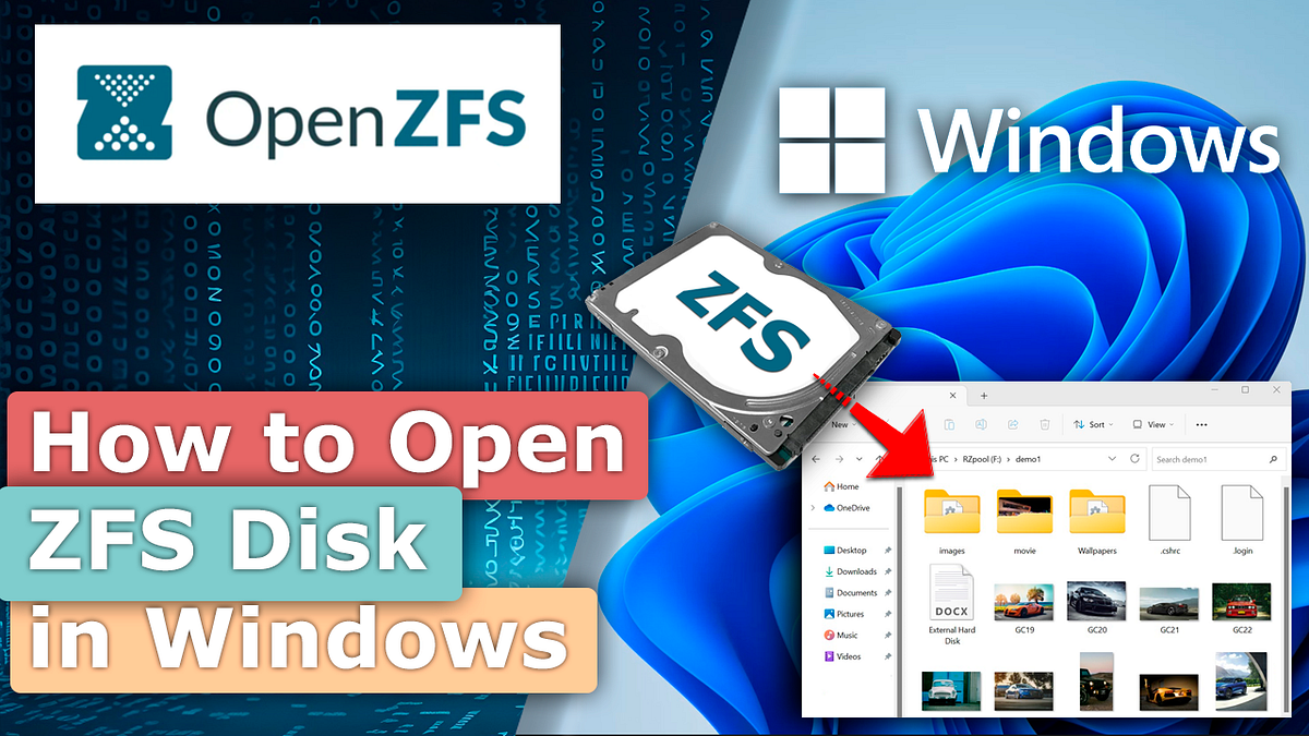 Software Tools to Read a ZFS Disk in Windows / How to Open a ZFS Disk in Windows - Hetman ...