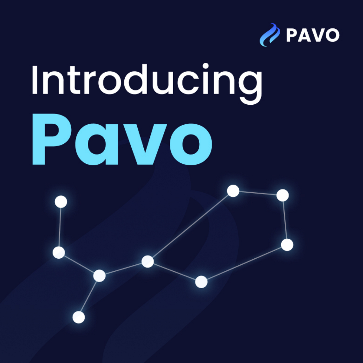 Introducing Pavo. Origin of the name Pavo: | by PavoFinance | Medium