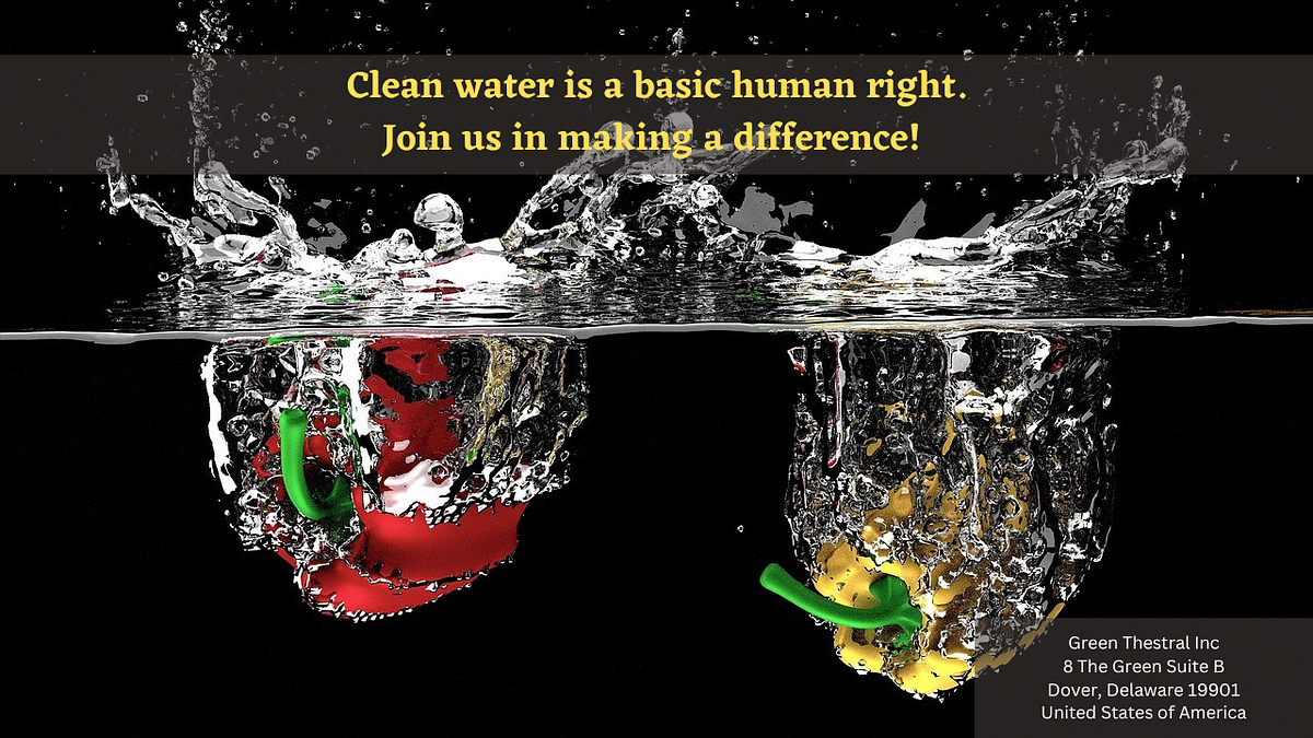 Achieving Goal 6: Clean Water and Sanitation for a Sustainable Future ...