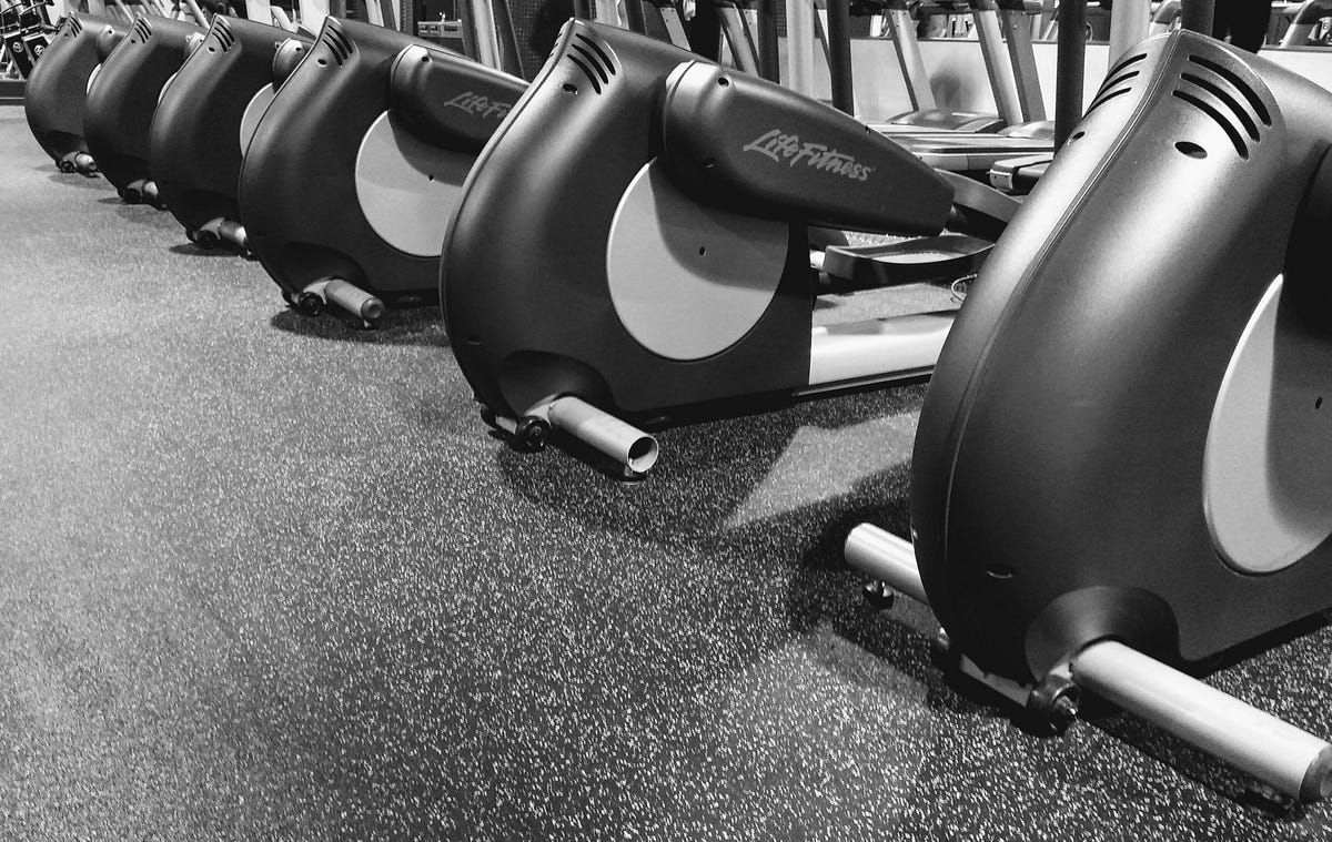 Elephants at the Gym | by Gill McCulloch | a Few Words