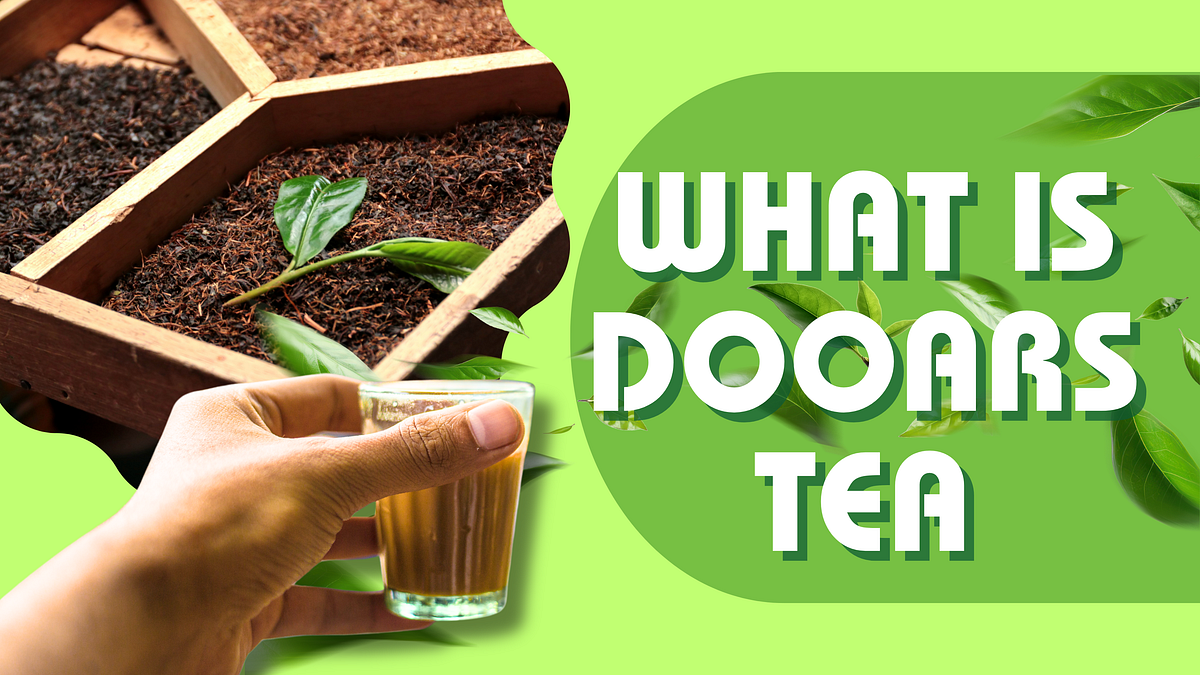 What is Dooars Tea? Learn about Dooars Tea Gardens | by Naturolled Tea ...