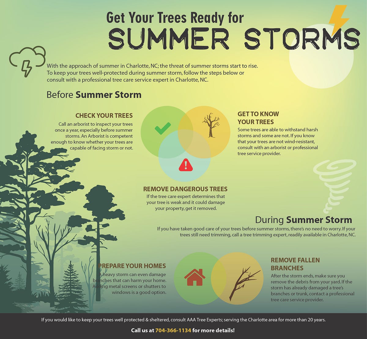 Get Your Trees Ready for Summer Storms | by Heather Nelson | Medium