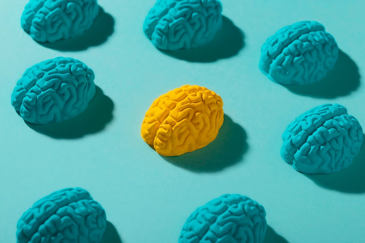 The Neuroscience of Effective Leadership: Unlocking Your Brain’s ...