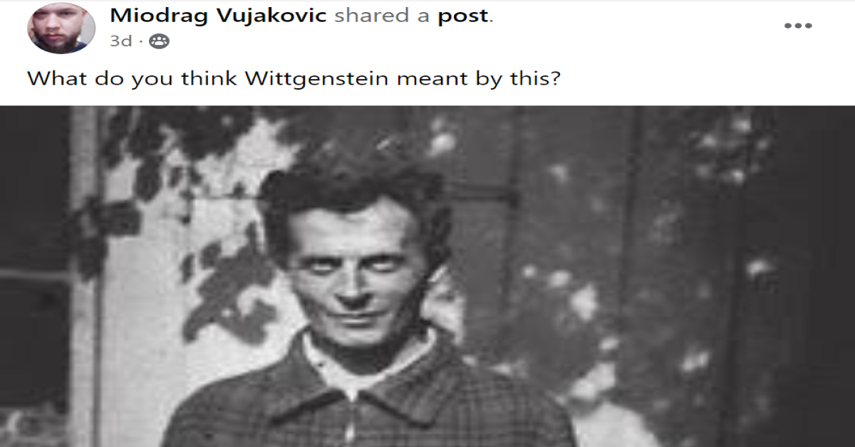 The Wittgenstein Interpretation Industry | by Paul Austin Murphy | Paul ...