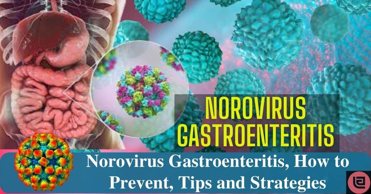 Norovirus Gastroenteritis, How to Prevent, Tips and Strategies https ...