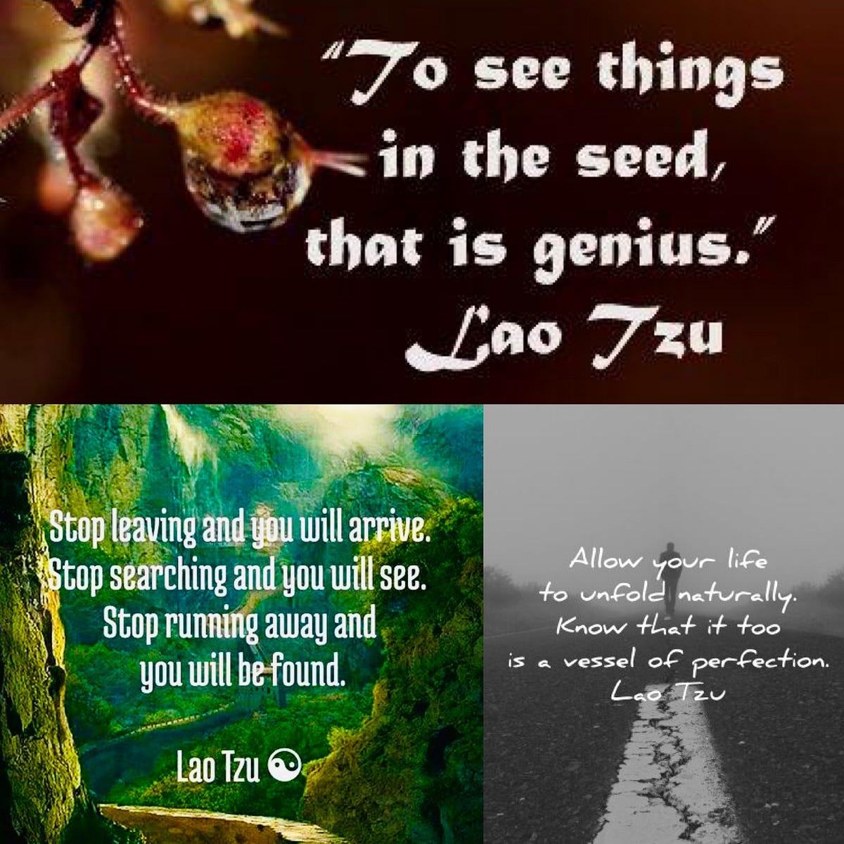“Teachings of the Philosopher Lao Tzu” | by John Walter Raney 1st | Medium
