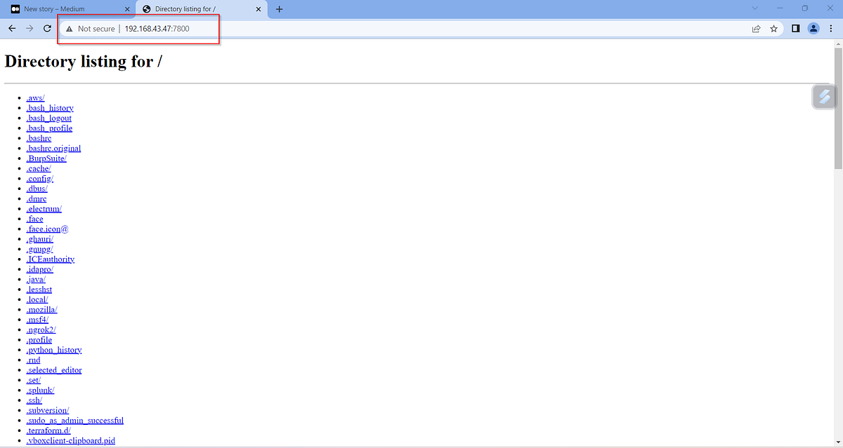 How to Start a Python server in Linux machine | by psychomong | Medium
