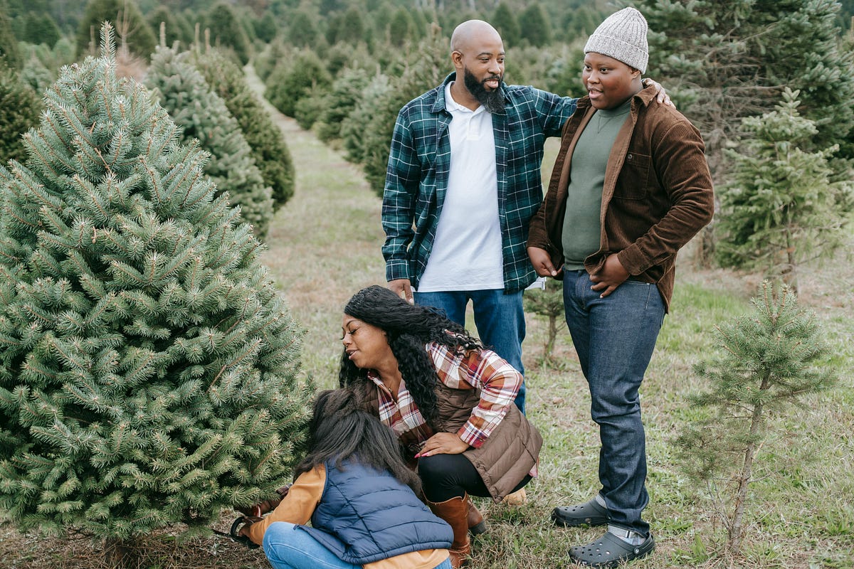 I Dream of A Real Christmas Tree. Balancing traditions, culture, and ...