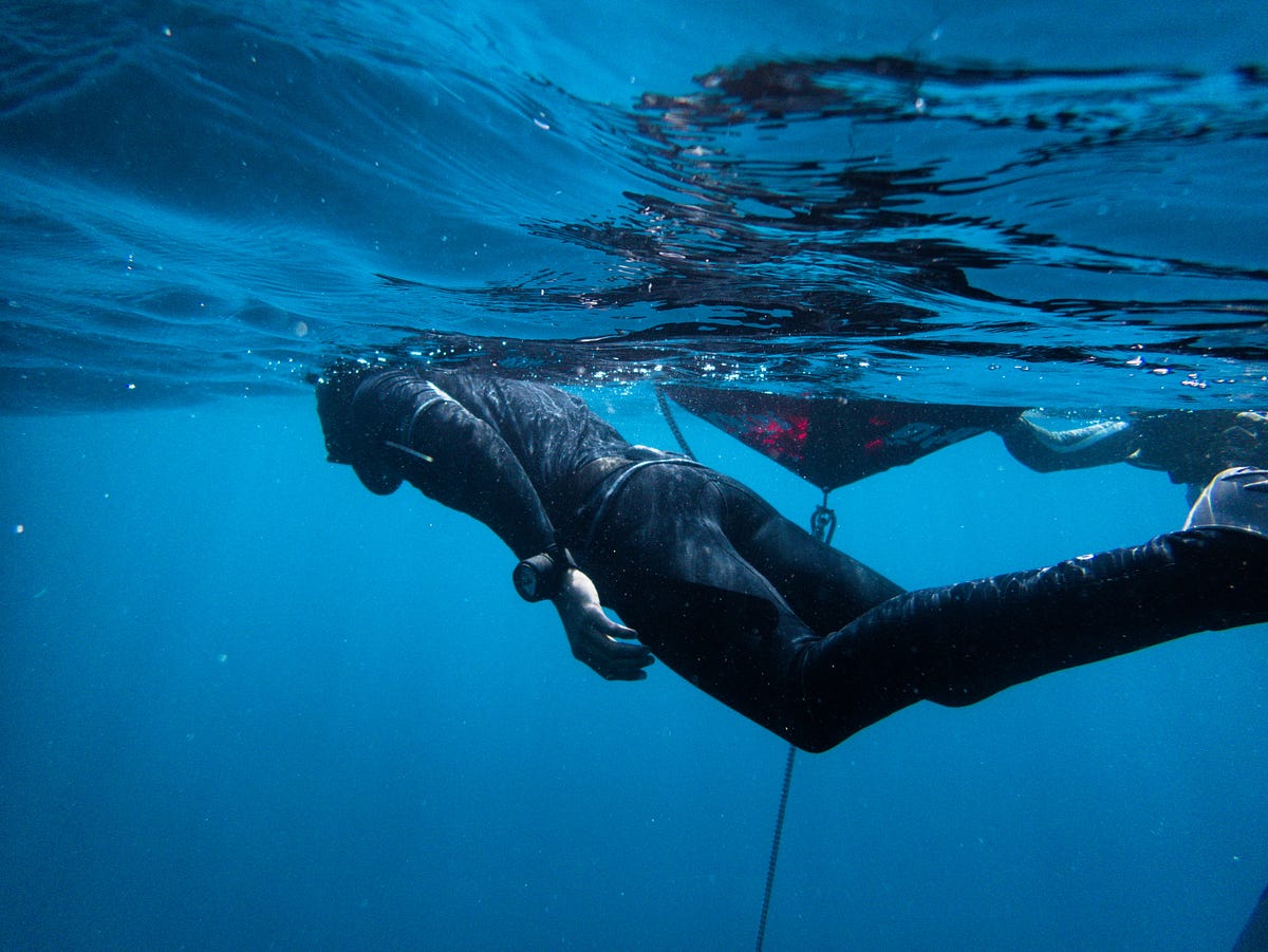 Things You Need To Know Before Doing A Freediving Course (That No One ...