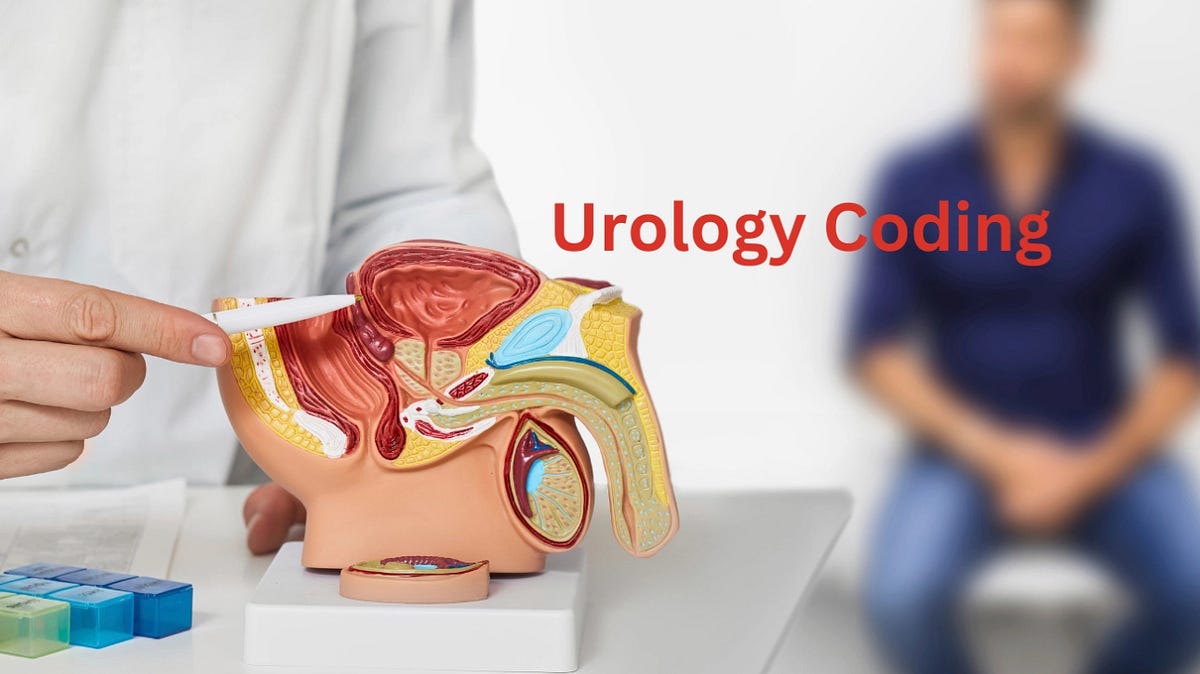 Urology Coding: Essential Do’s and Don’ts for Billing Success. | by Qwayseoteam | Medium
