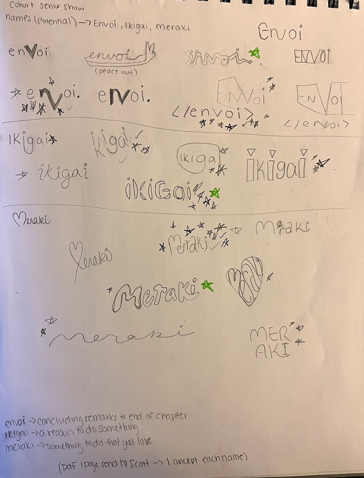 SENIOR PORTFOLIO || project 2- group branding - Madeline Lucore - Medium