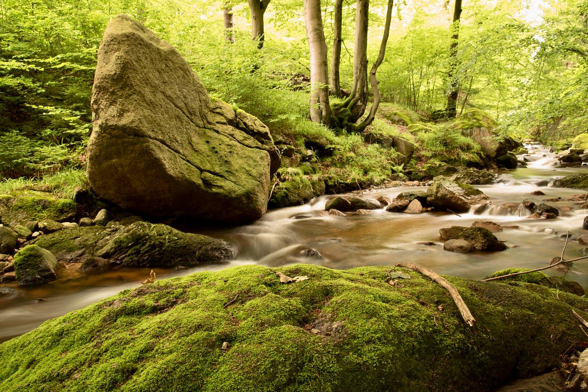 Flowing Like a River. Explore how embracing life’s flow helps… | by ...