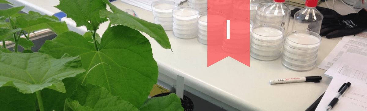 BIOPESTICIDES, PART I: BRIDGING THE CONVENTIONAL INTERFACE | by Harry ...