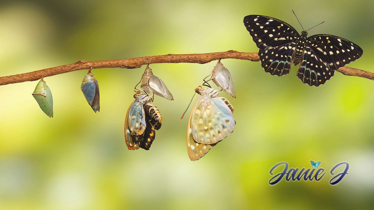 Journey of Transformation. Change is an inevitable part of life… | by ...