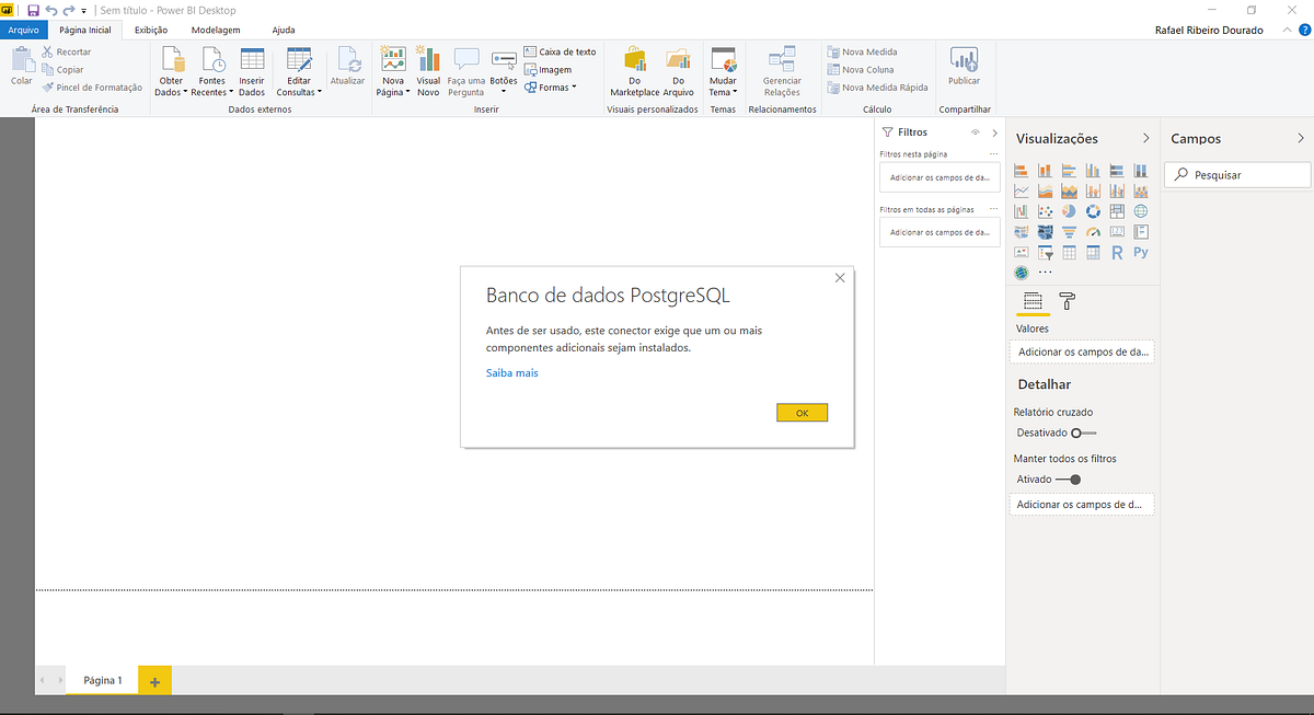 Conectando o Power BI com o Postgresql com Python | by Rafael Ribeiro ...