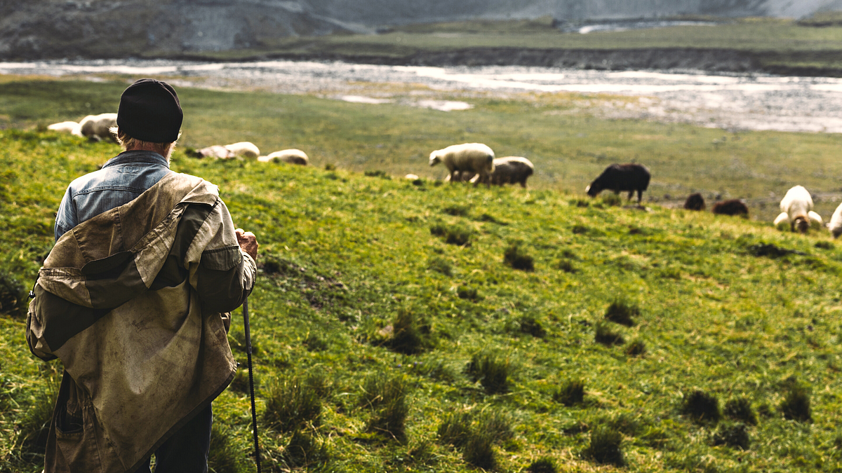 Psalm 23 Stories: Jo Manion. Learning to know God as shepherd | by ...