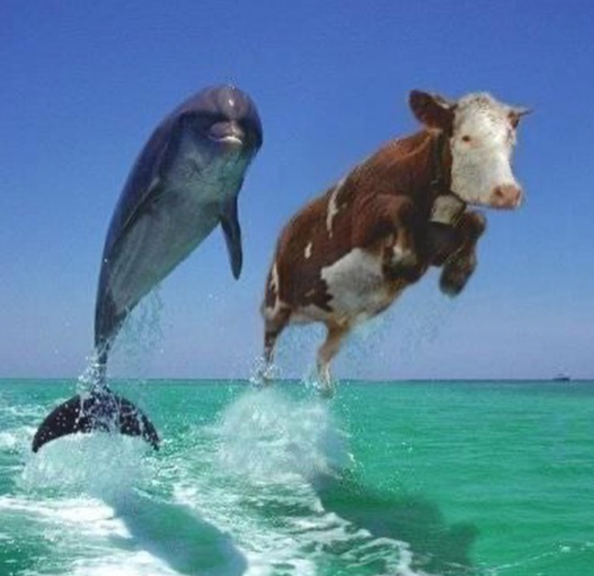 Turning Memes into Micro Stories: Tales of the Ocean Cow - Erick ...