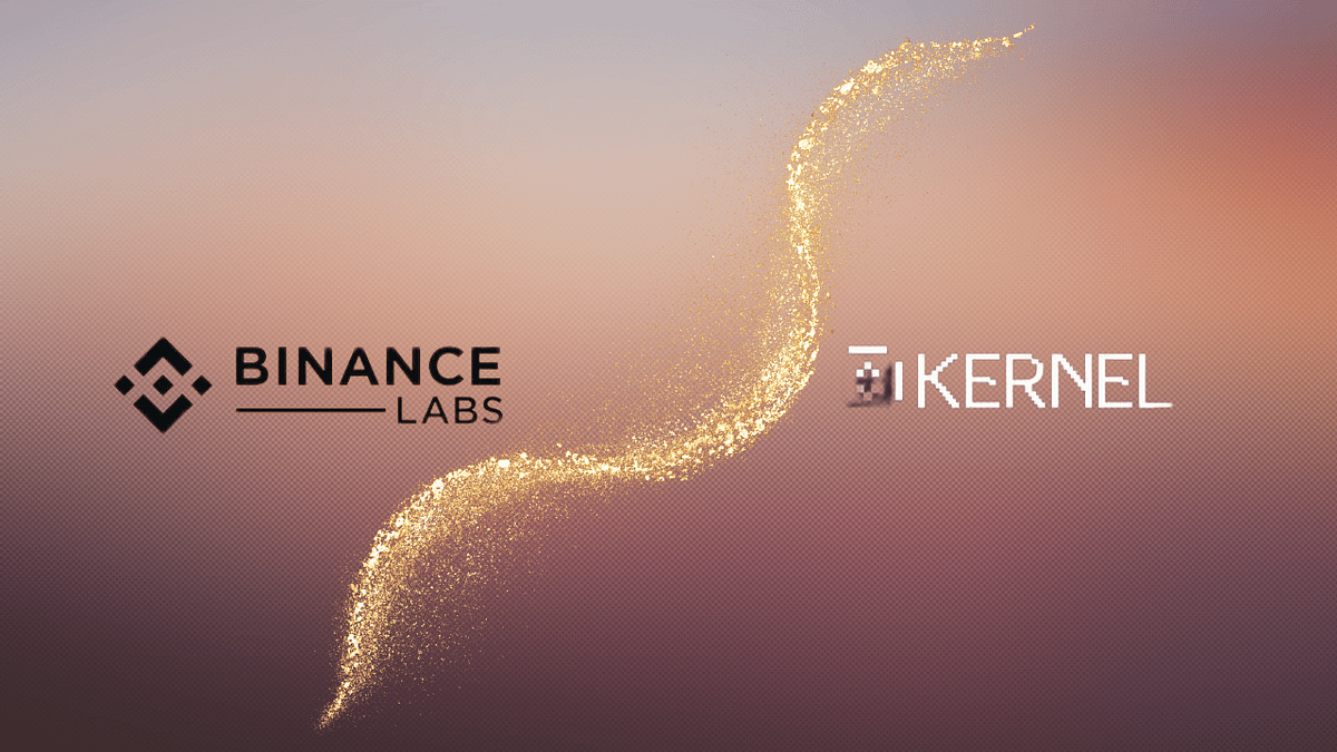 Binance Labs Invests in Kernel: Pioneering the Future of Restaking on BNB Chain 🚀 | by Solidity ...