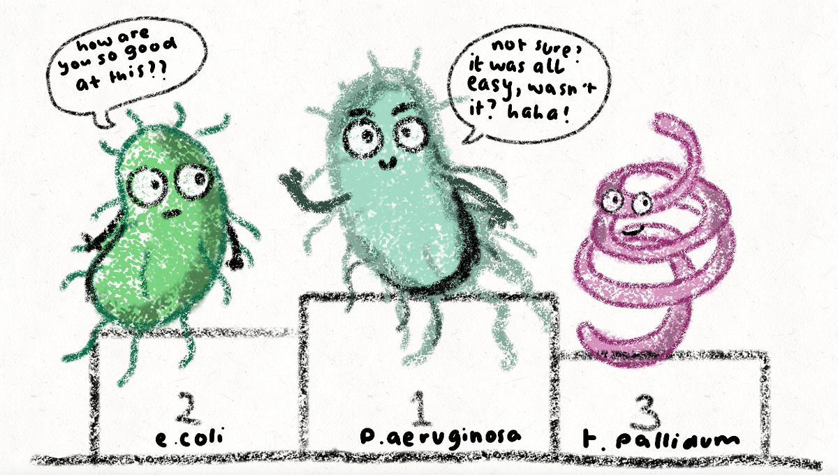 The Natural Resistance of Pseudomonas aeruginosa | by Velika Freesia ...