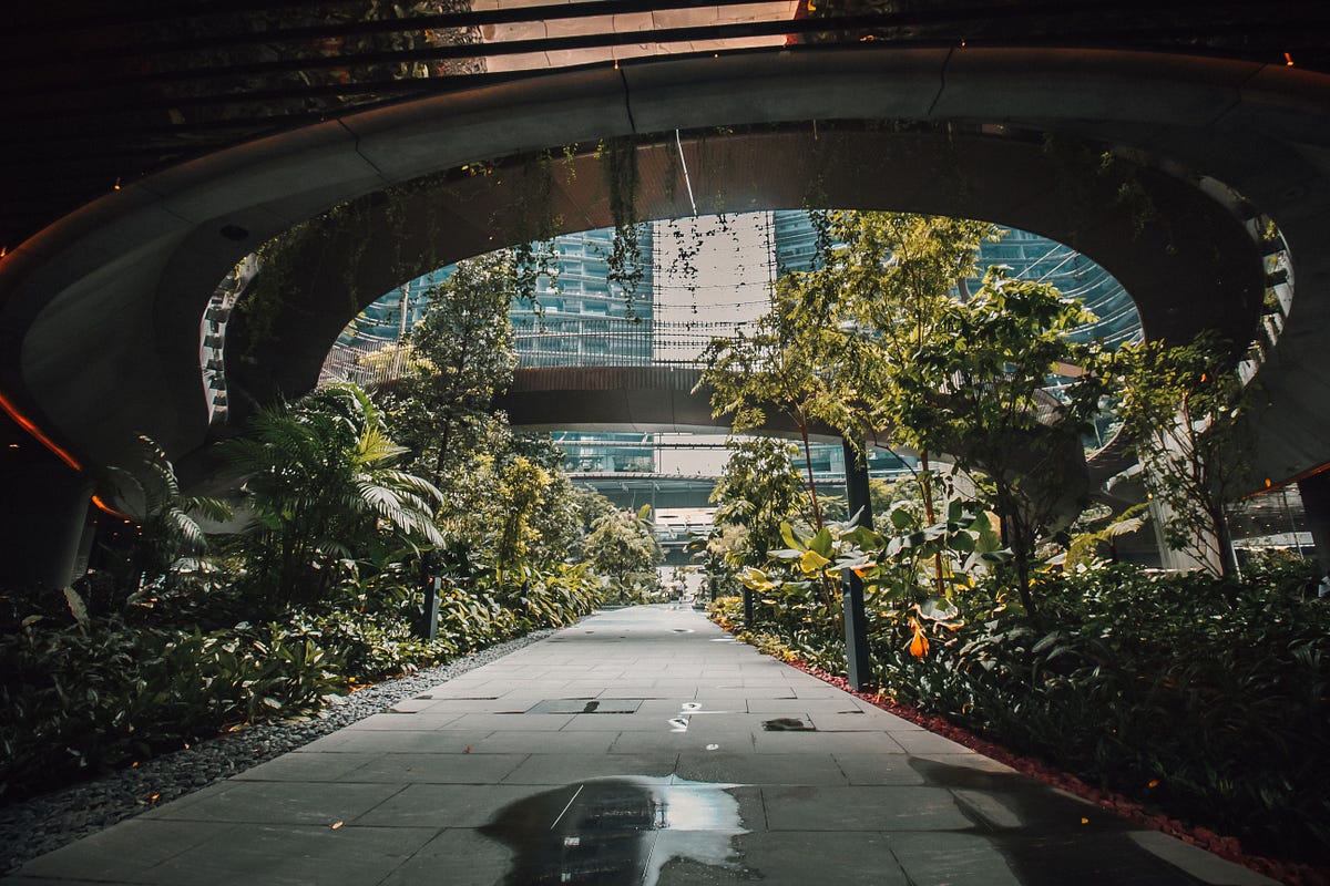 Potential Effects of the Urban Environment on Plant Adaptation | by ...