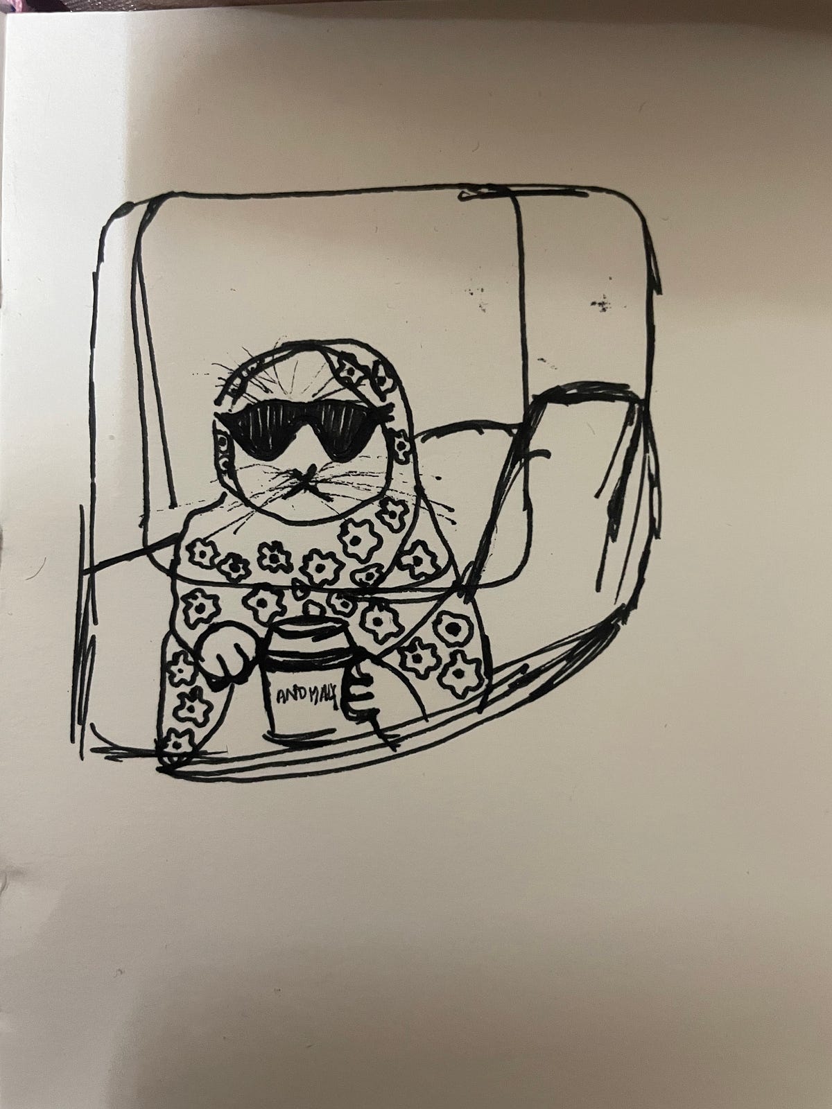 (week 03) this isn’t me-ow, this is the driver of anomaly brands ...